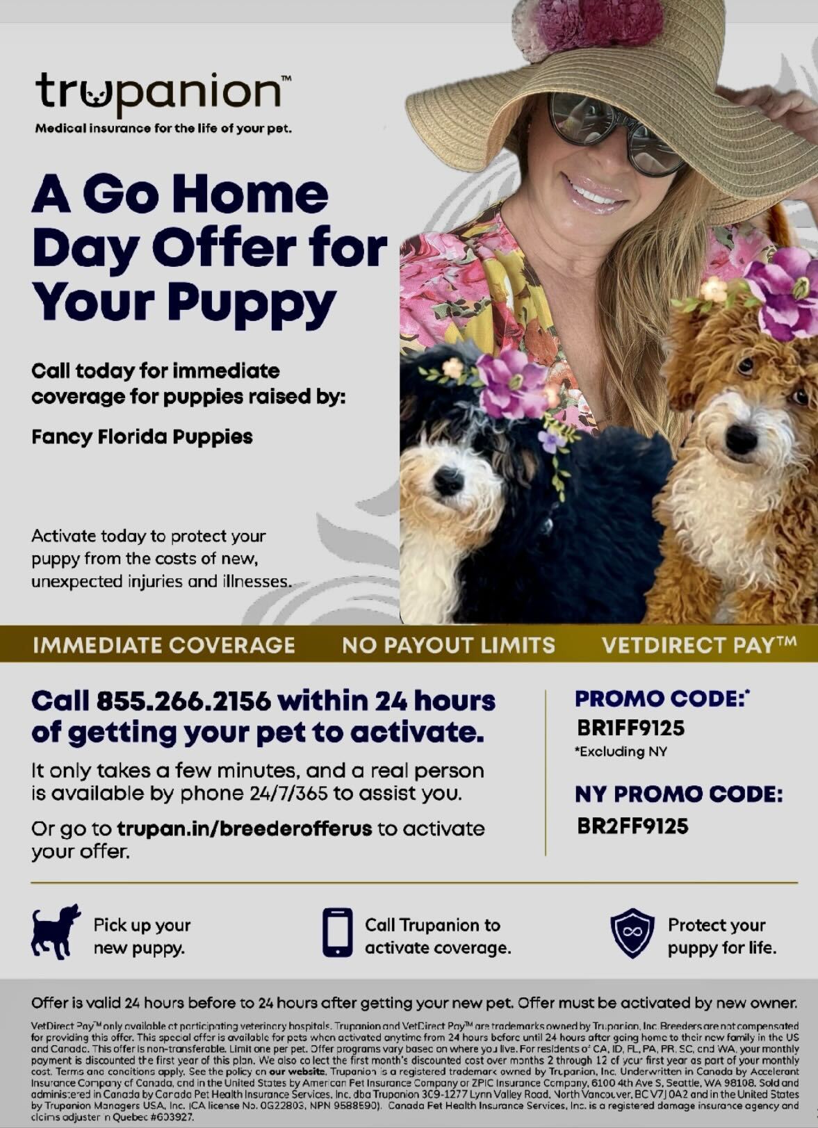 Home - Fancy Florida Puppies